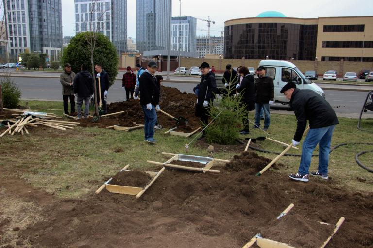 One million trees to be planted in Kazakhstan as part of nationwide ...