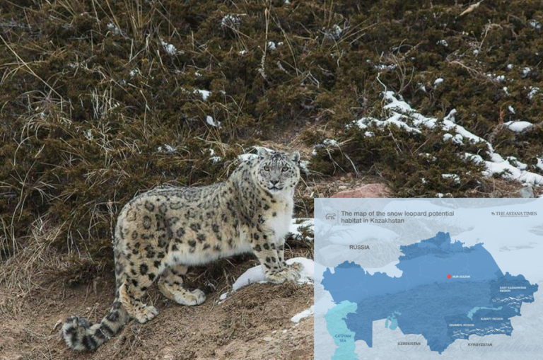 UNDP and Kazakhstan Working Together to Develop and Expand Safe ...