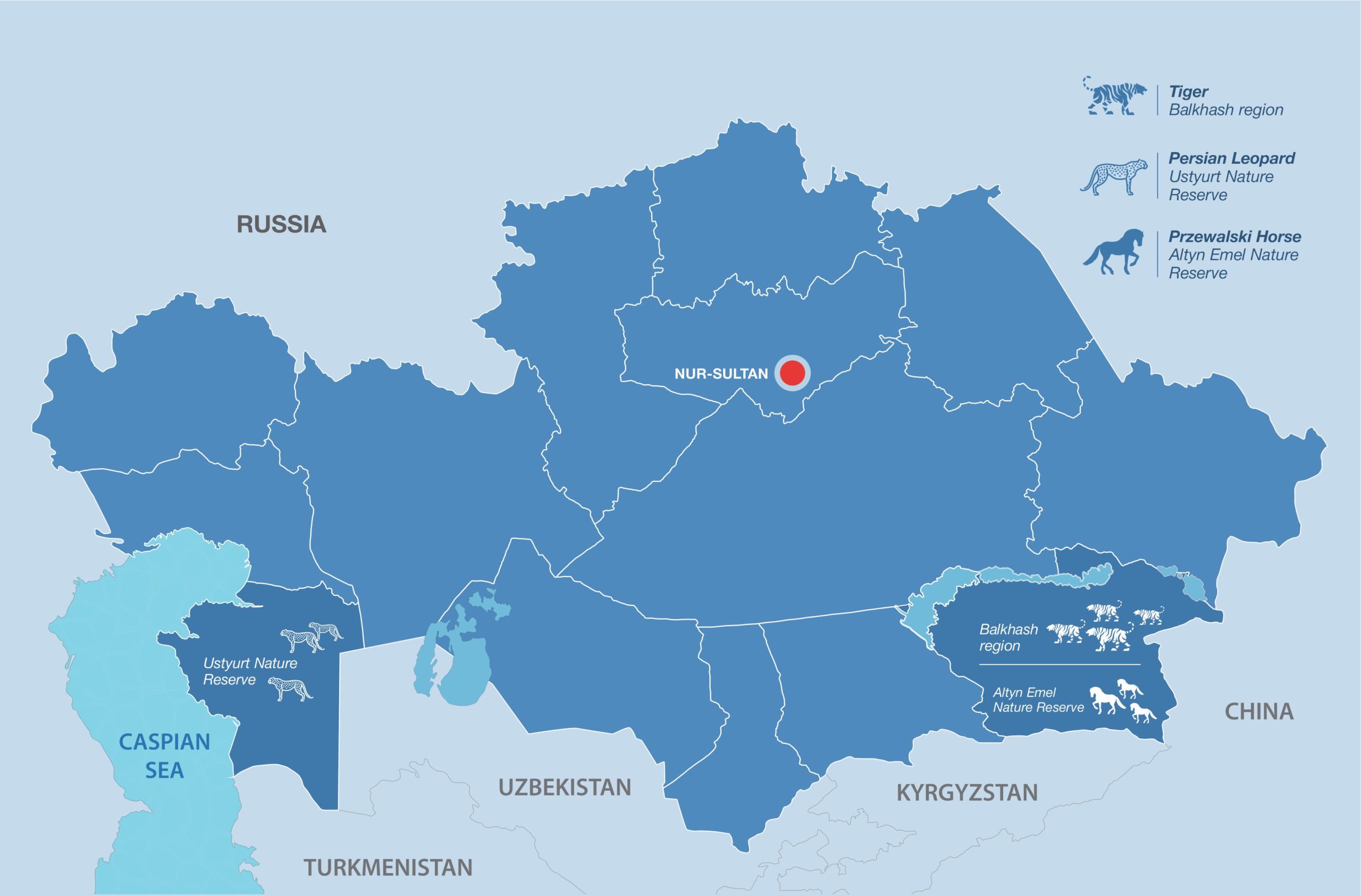 Persian Leopard, Przewalski Horse and Tiger Officially Listed in ...