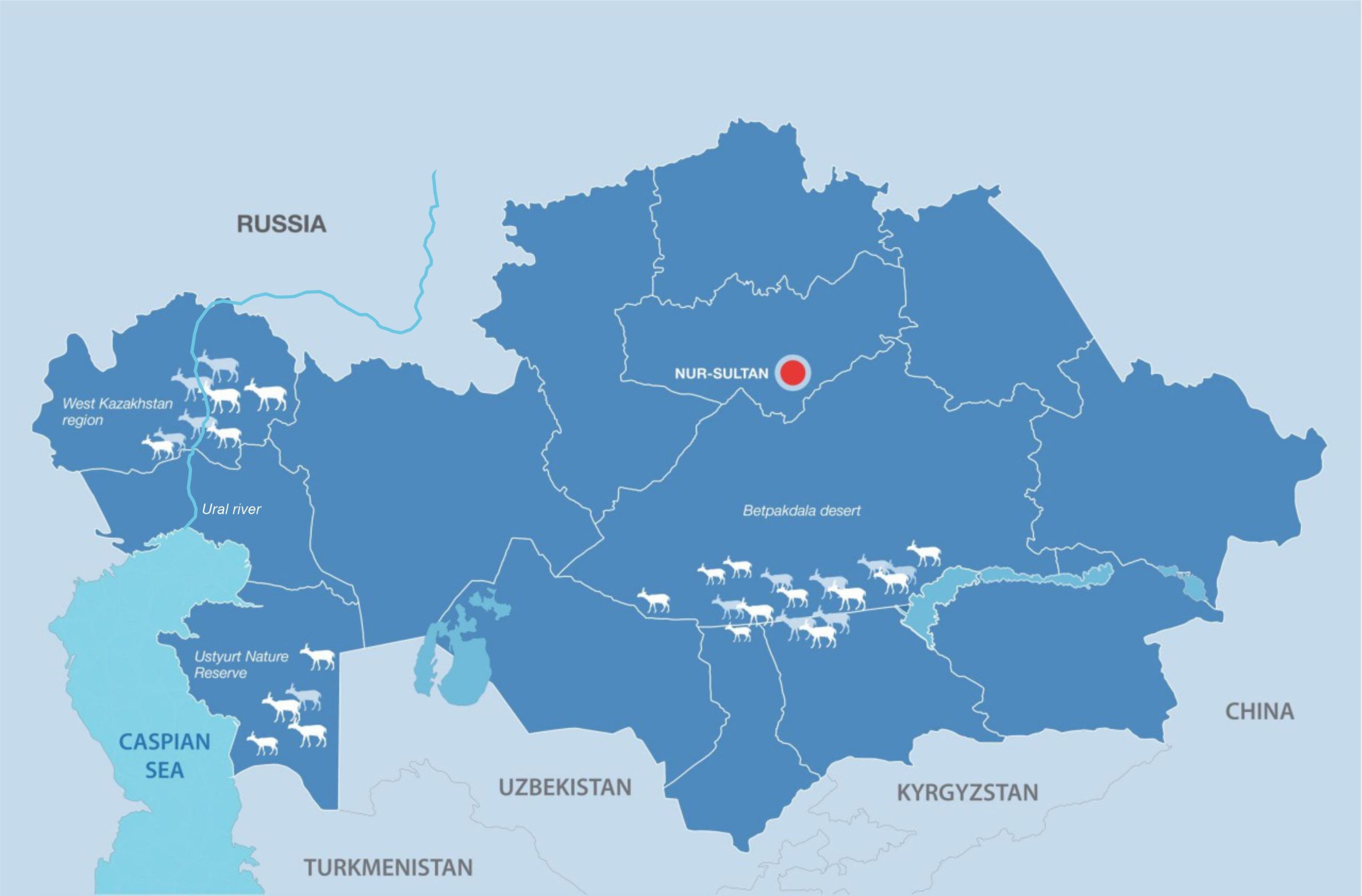 Kazakhstan Commits Greater Effort to Preserving Saiga Antelope ...