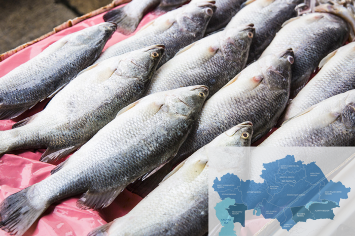 Almaty Region Continues Development of Fishery By Building New Complex ...