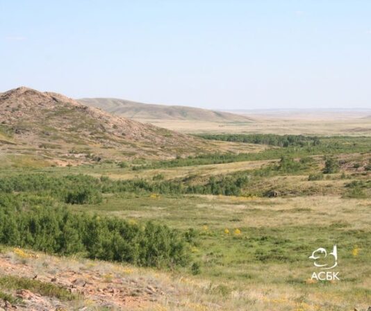 Kazakhstan Creates New National Park in Karaganda Region to Step Up ...