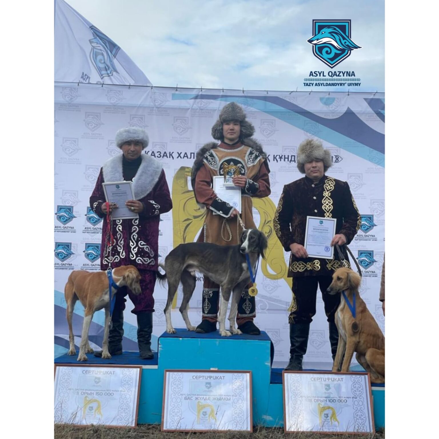 One of Kazakhstan’s Miracles - The Tazy Hunting Dog Breed (With Video ...