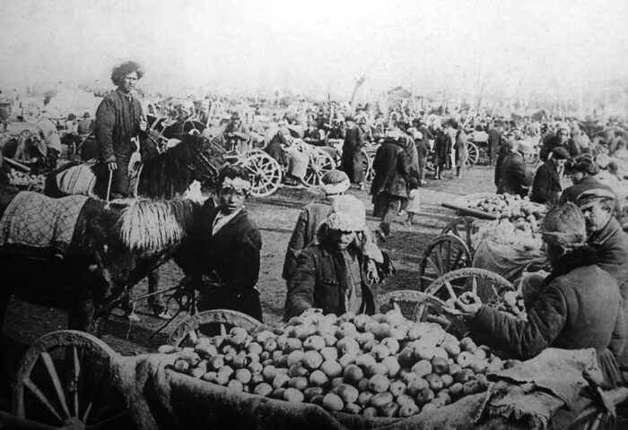 Legendary Almaty Aport Apple Has Glorious Past and Bright Future - The ...