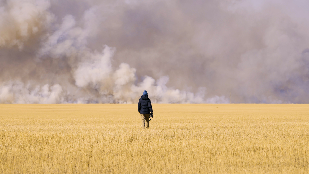 UN Names Kazakhstan’s Steppe Conservation Initiative One of the World’s ...