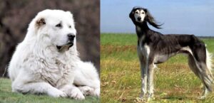 Kazakhstan to Allocate Nearly $3 Million to Preserve Tazy and Tobet ...