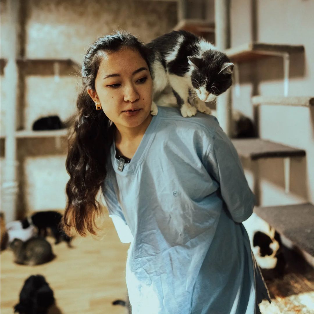 I am Alive Animal Shelter Beacon of Hope for Stray Dogs and Cats in ...
