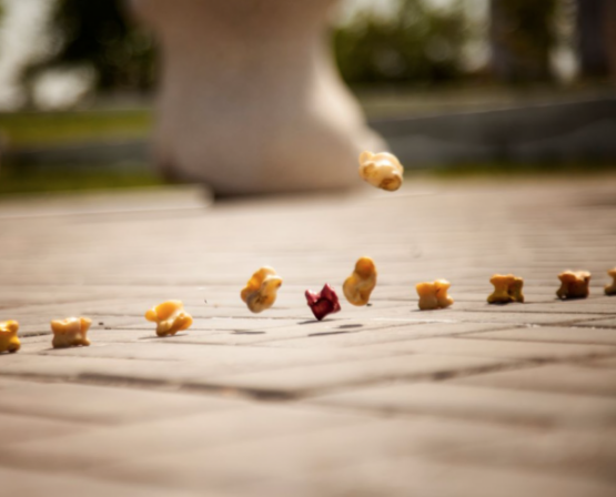 Kazakhstan’s Top Five Most Popular National Sports - The Astana Times