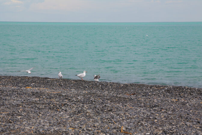 Alakol Lake Roadmap: Abai Region Aims to Make Kazakhstan’s Natural ...
