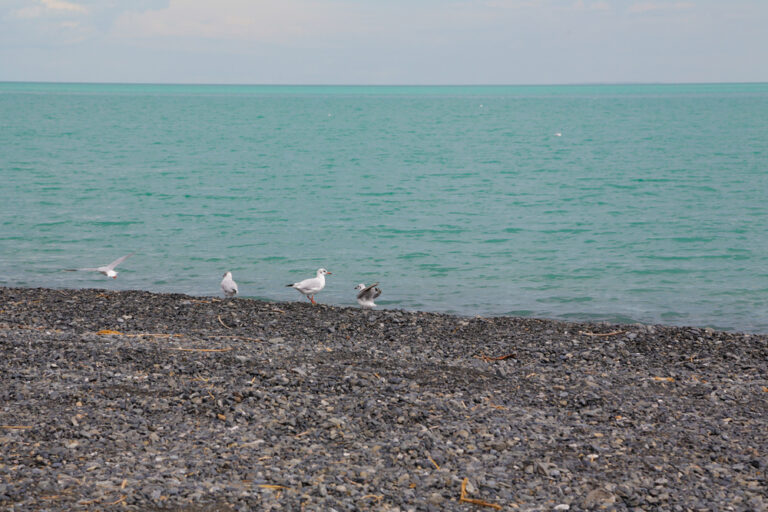 Alakol Lake Roadmap: Abai Region Aims to Make Kazakhstan’s Natural ...