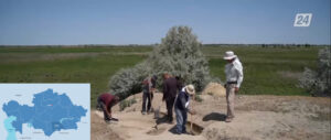 Archeologists Discover Ancient City in Zhambyl Region - The Astana Times