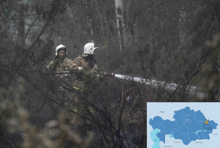 President Declares June 12 as Day of Mourning for Forest Fires Victims ...