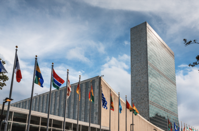 UN Declares 2026 International Year of Volunteers for Sustainable ...