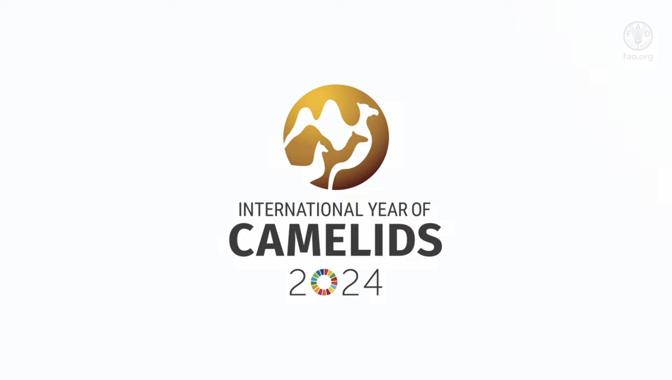 Year of Camelids Unveils Kazakhstan’s Flourishing Camel Farming - The ...