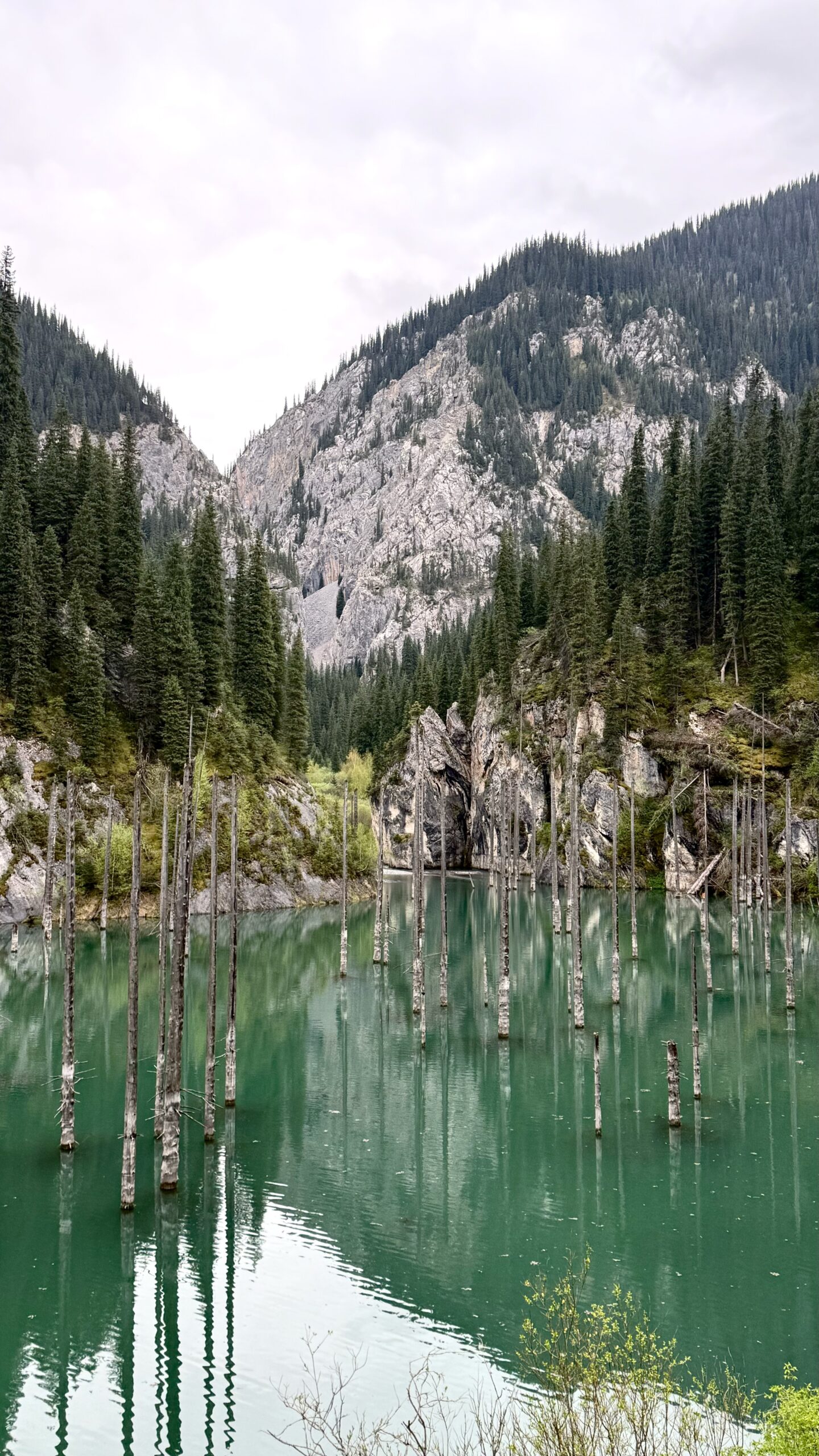 Almaty: Gateway to Kazakhstan’s Natural Wonders - The Astana Times