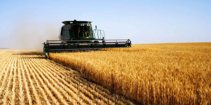 Kazakhstan Targets New Agricultural Export Markets - The Astana Times