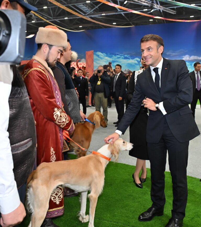 International Canine Federation Preliminarily Recognizes Kazakh Tazy as ...