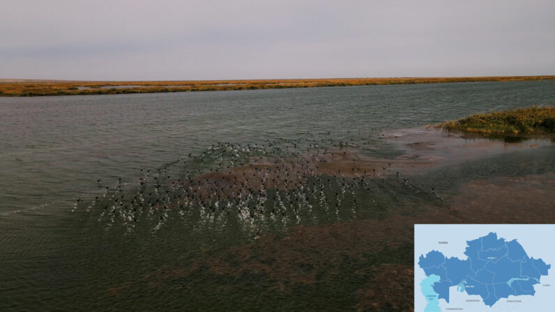 Kazakhstan Intensifies Efforts to Preserve Northern Aral Sea, as Water ...