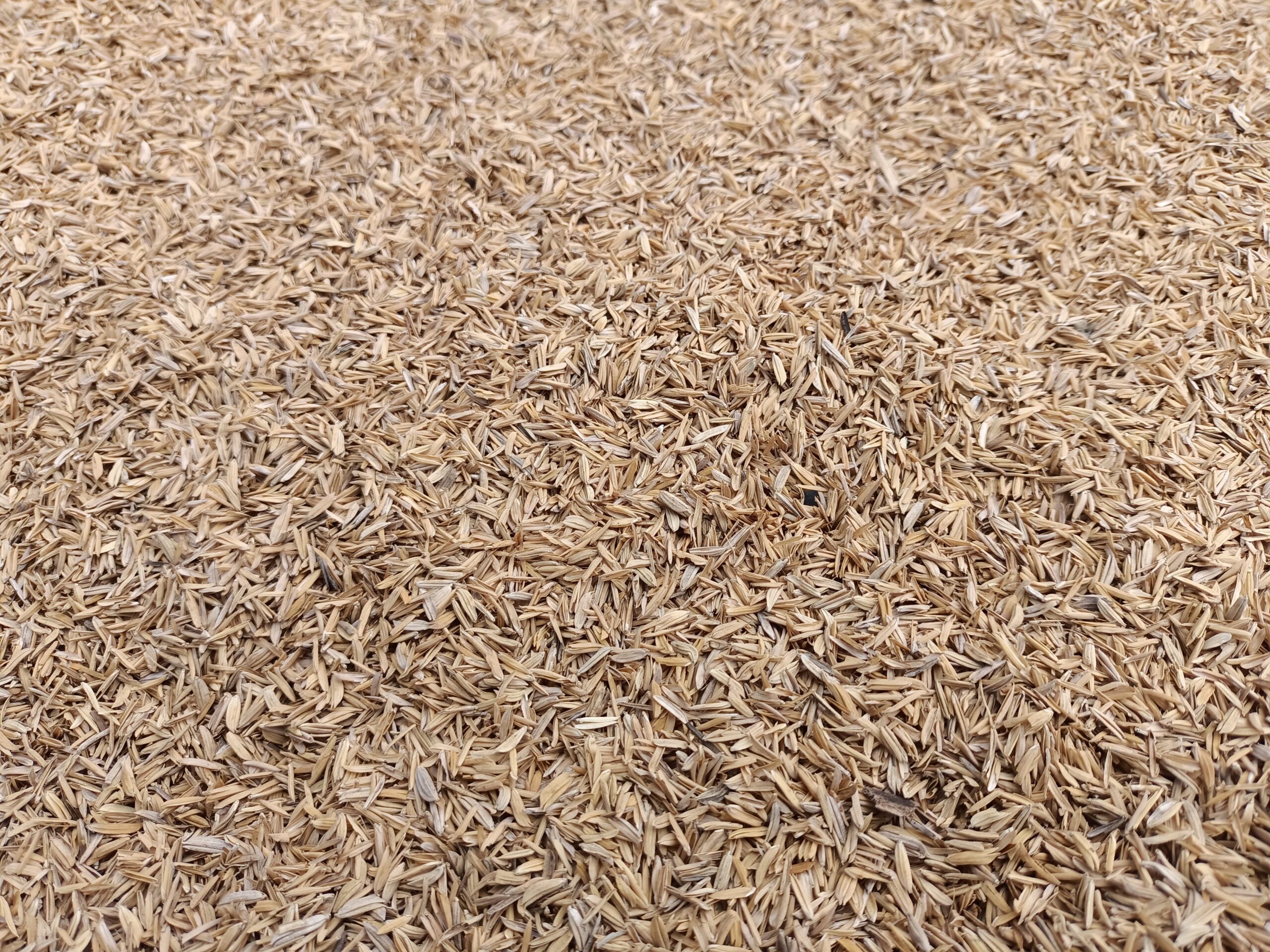 Kazakhstan Launches Innovative Production of Rice Husk-Based Material ...