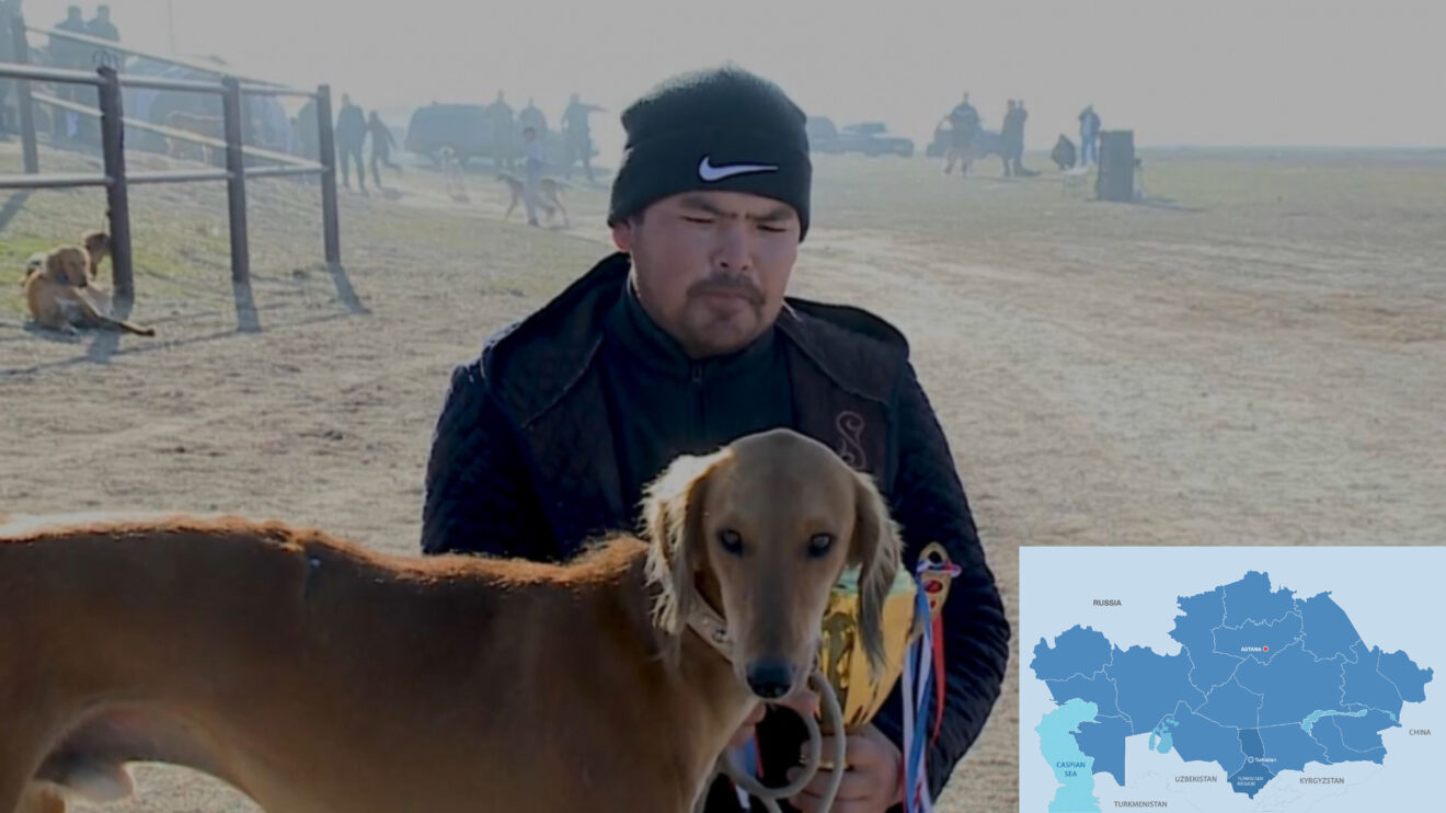 Turkistan Region Hosts Competition to Crown Fastest Tazy Dog - The ...