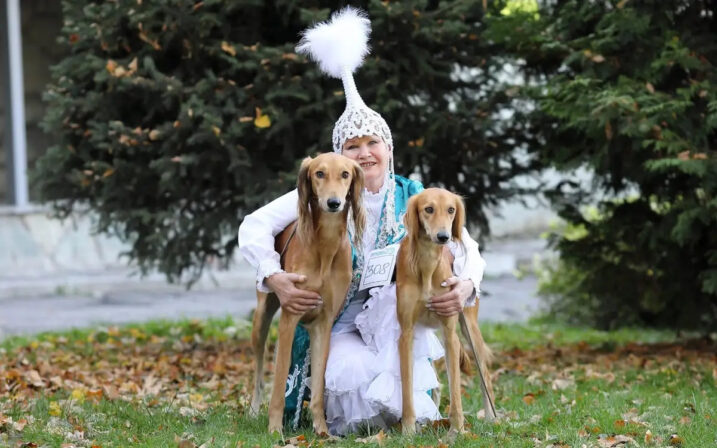 What it Takes to Breed Kazakh Tazy Dog? - The Astana Times