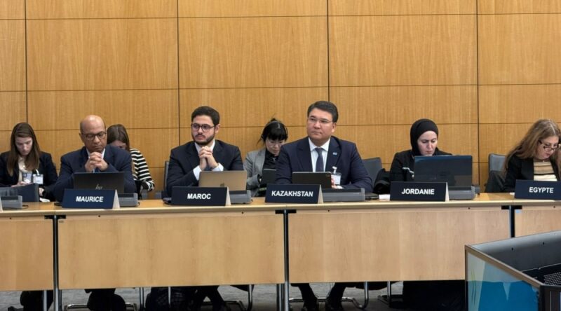 Kazakh Officials Discuss Global Investment Trends During OECD Week in ...