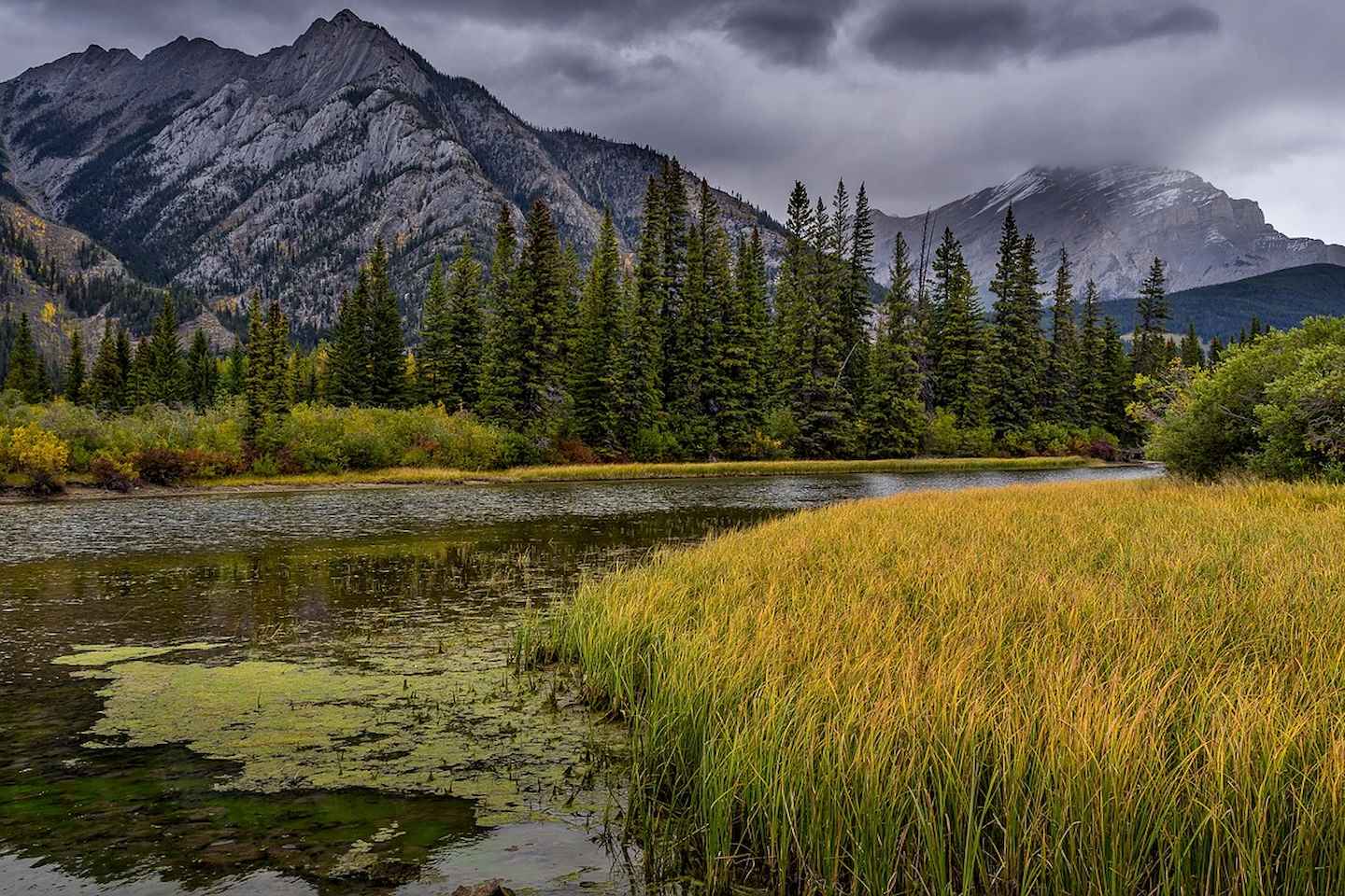 Kazakhstan to Establish Six Specially Protected Natural Areas - The ...