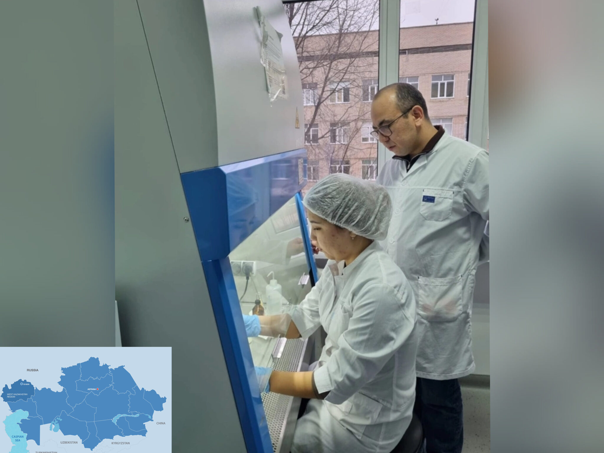 Kazakh Scientists Develop Ice Cream and Yogurt Made From Camel Milk ...