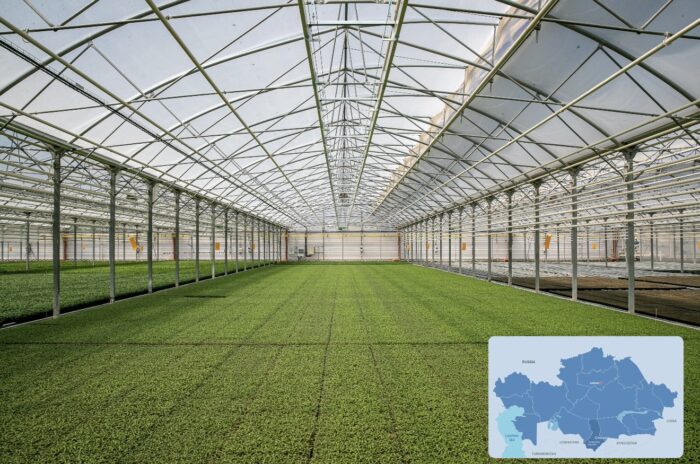 Kazakhstan Attracts $150 Million Investment for Greenhouse Project in ...