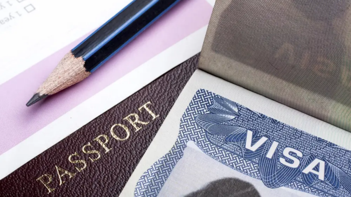 US Suspends Immigrant Visa Processing for 75 Countries, Including ...